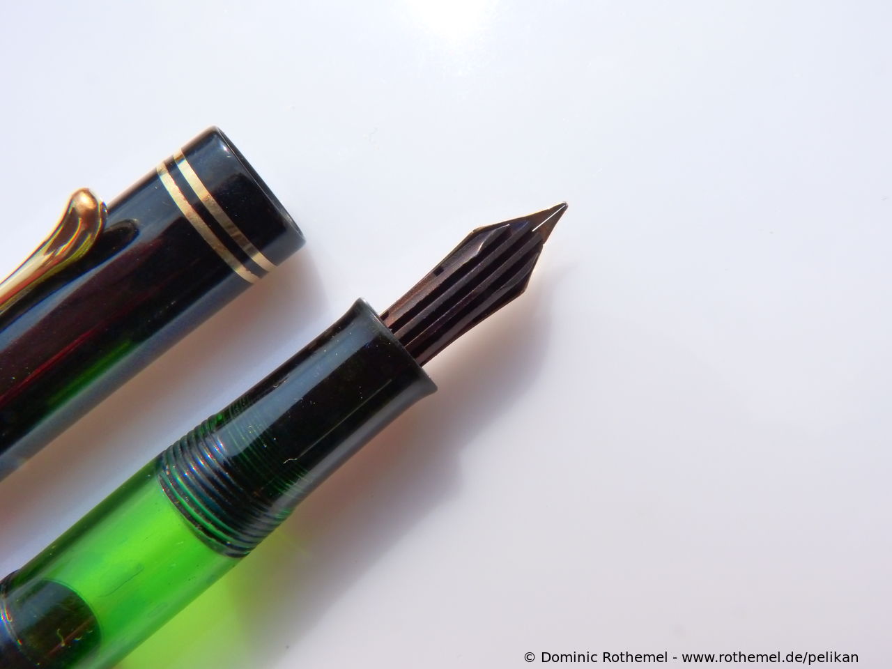 Pelikan Pens 100N 100Na 100Nf 101N 101Na Magnum